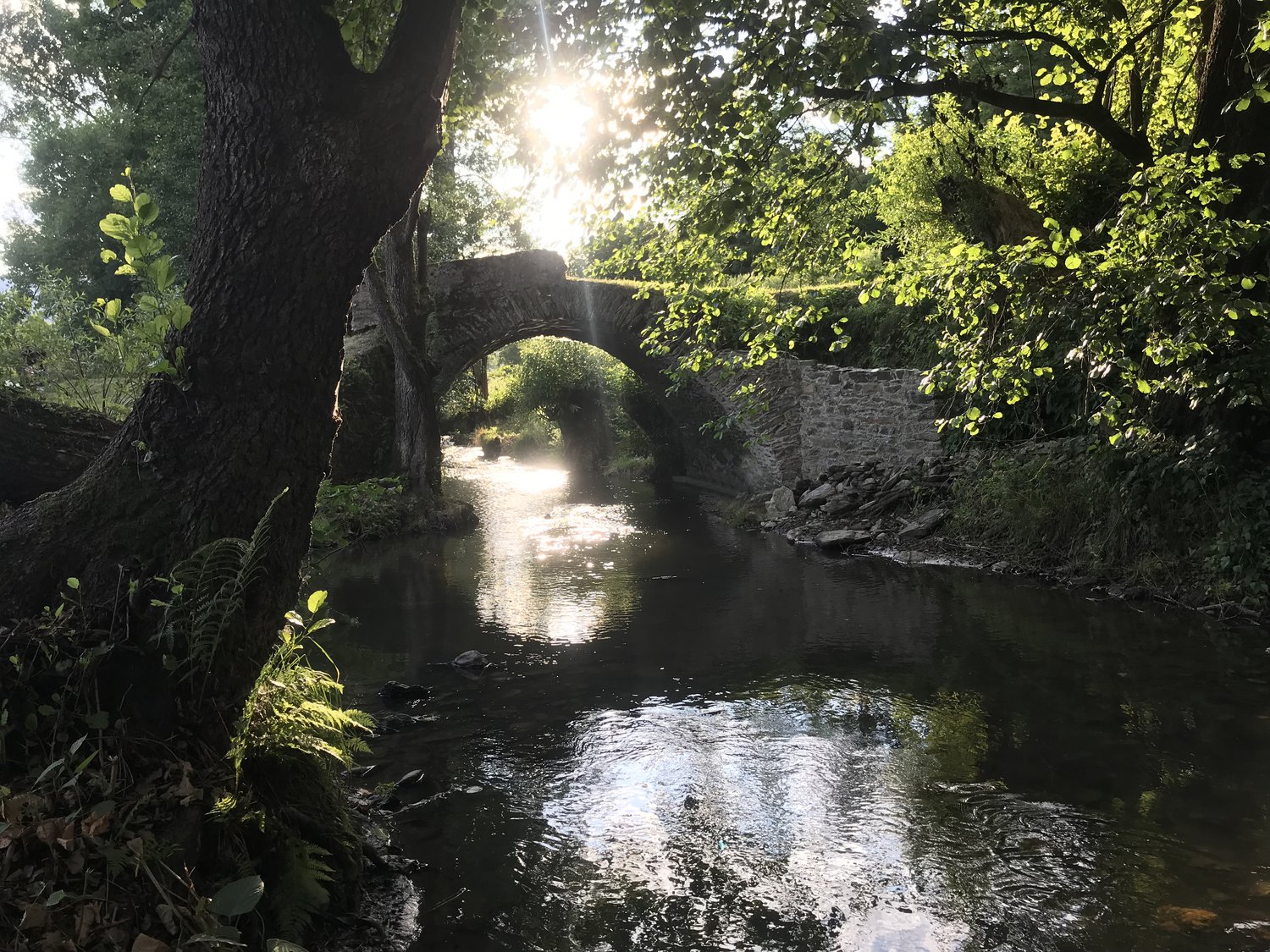 The town of Hnúšťa